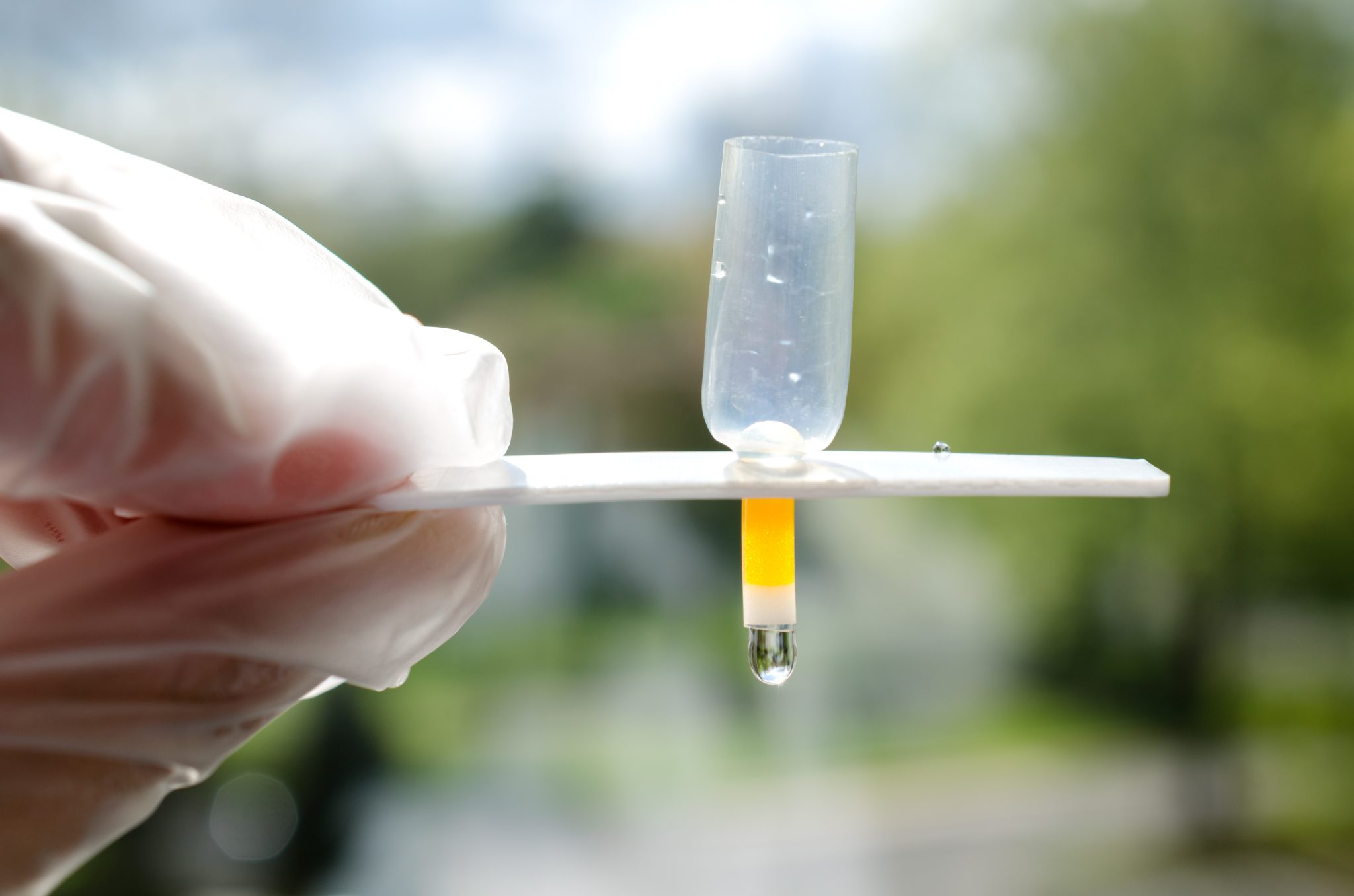 Research – PTXRt-Lab